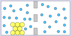Transportmechanismen Diffusion